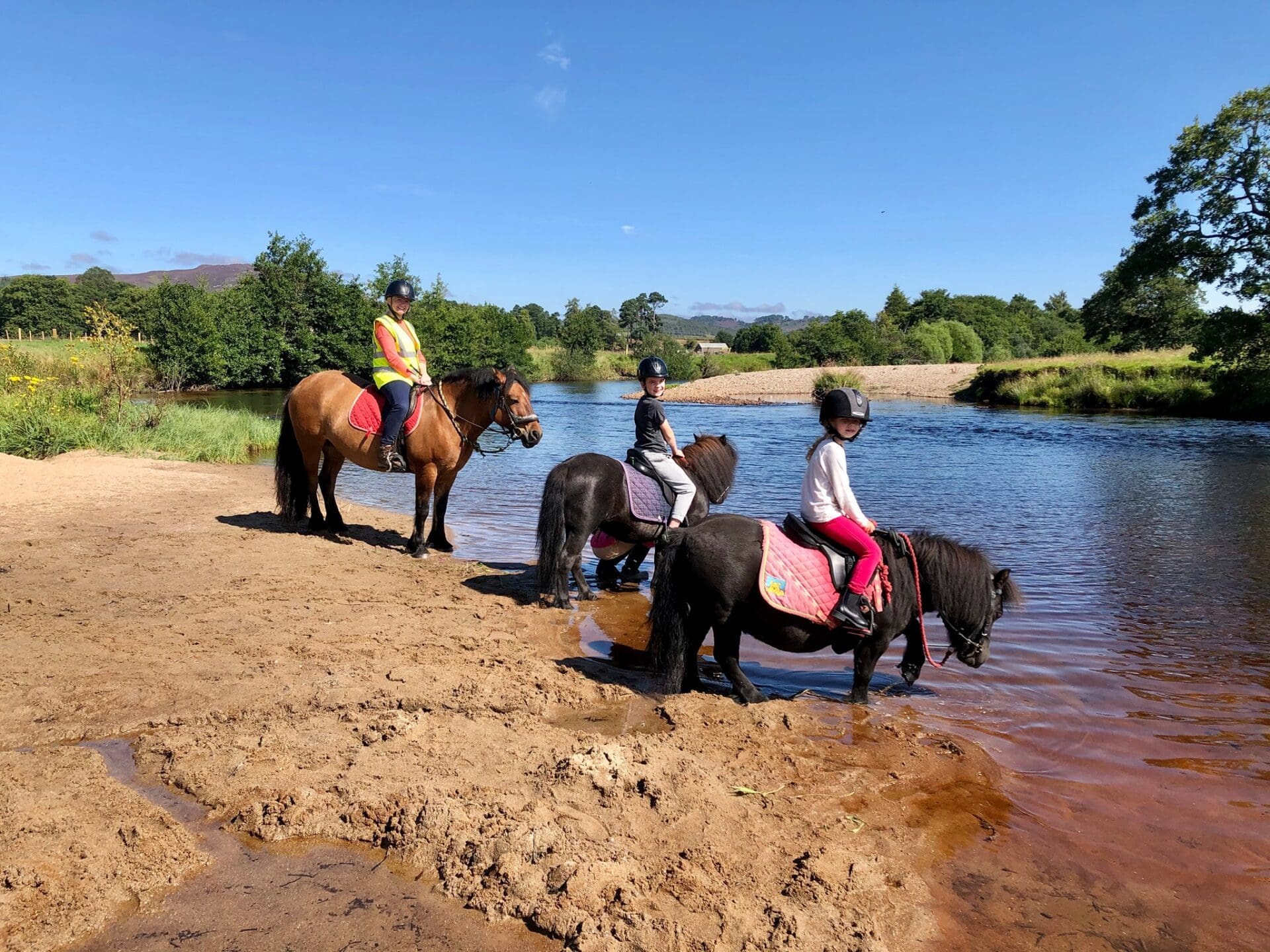 For Sale | Highland Horse Fun Pony Trekking since 1952